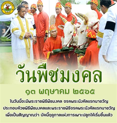 วนพชมงคล NeekaNatalia