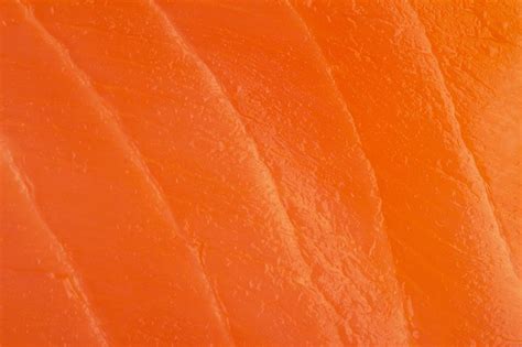 Difference Between Coral And Salmon