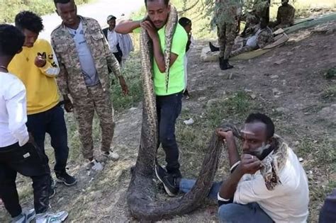 The Monks Of St Arsema Monastery Were Unable To Get Around Because Of