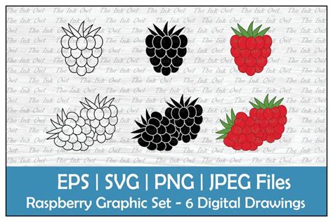 Raspberry Fruit Outline Silhouette And Color Clipart Set
