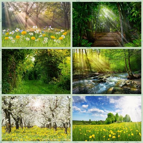 Laeacco Arri Re Plan Pour Photographie De Paysage De Printemps For T Naturelle Fleurs Portrait