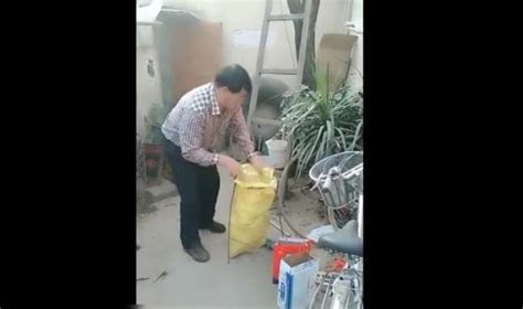 聽說大衣哥 朱之文的老婆也開直播了 每日頭條