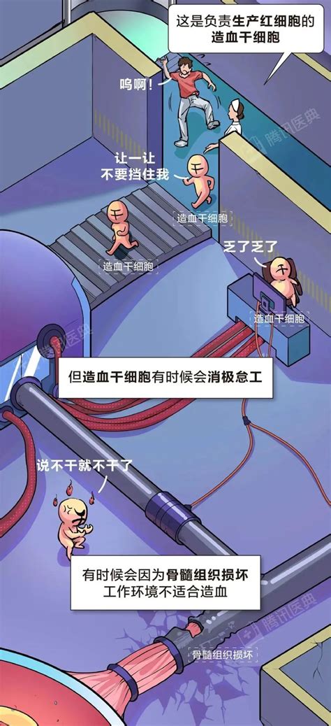 一张图让你读懂血常规报告单（超全！赶紧收藏！） 腾讯新闻