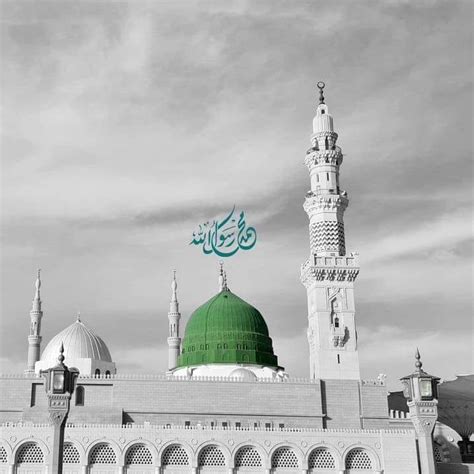 Zulfiqar Sufi Town ️🕊️ A Bedouin Came To The Beloved Messenger Of