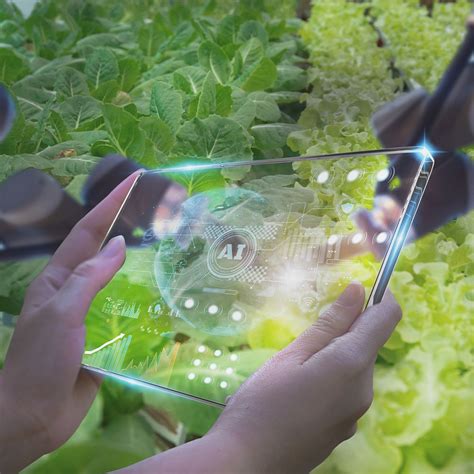 Gulfood 2026 Worlds Biggest Food Show Even Bigger In 2026