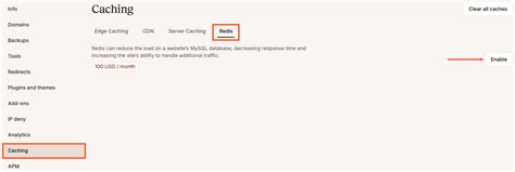 caching redis caching kinsta® docs