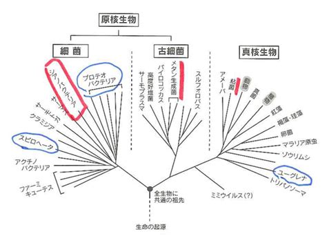 Similar To Page 1 JapaneseClass Jp