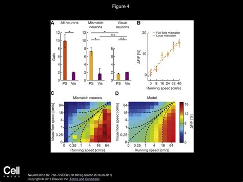 Mismatch Receptive Fields In Mouse Visual Cortex Ppt Download