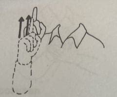 Chpt 11 Sign Language Location Direction Flashcards Quizlet