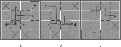 the superposition of the rat tracks and maze schemes samples of the