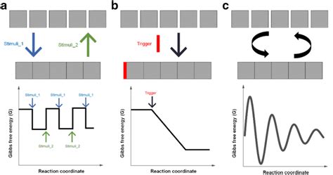 Three Models Of Dynamic Self Assembly And Their Gibbs Free Energy