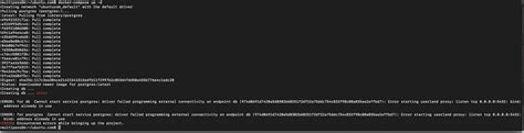 Hackingmd Instructions Do Not Work In Multipass · Issue 8068
