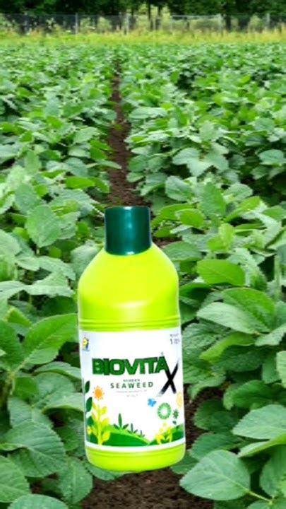 सोयाबीन पहिली फवारणी Farming Soyabean Favarni Youtube