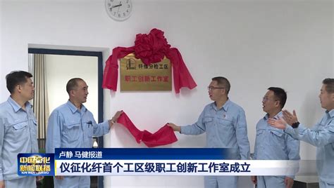 仪征化纤PTA项目首台氧化反应器顺利吊装就位 中国石化网络视频