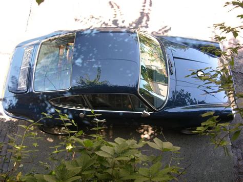 A Guide For Cleaning Tree Sap Off Your Ride