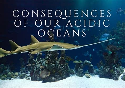 Consequences Of Our Acidic Oceans Naturallyjo10
