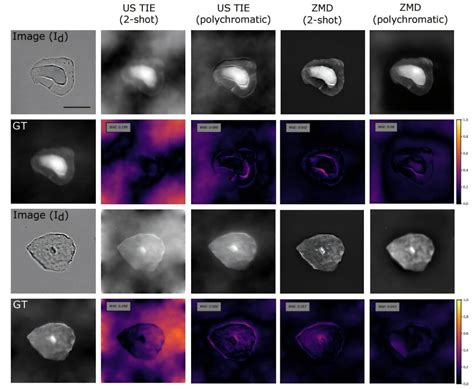 From Handicap To Asset Ai Approach Leverages Optical Phenomenon To Produce Better Microscopy