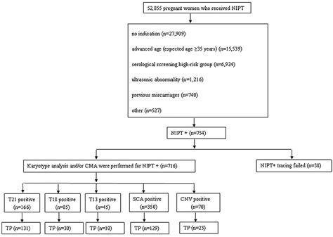 Non Invasive Prenatal Testing For The Diagnosis Of Congenital