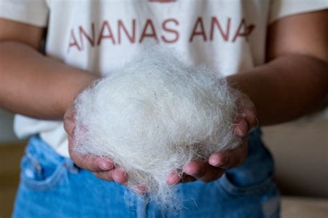 Ananas Anam Ltd On Linkedin Our Premium Textile Grade Fibre Anam Palf