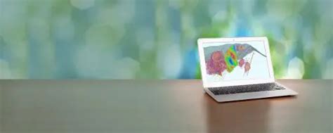 Geosoft Software And Products Seequent