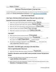 Bioman Photosynthesis Interactive Study Guide Course Hero