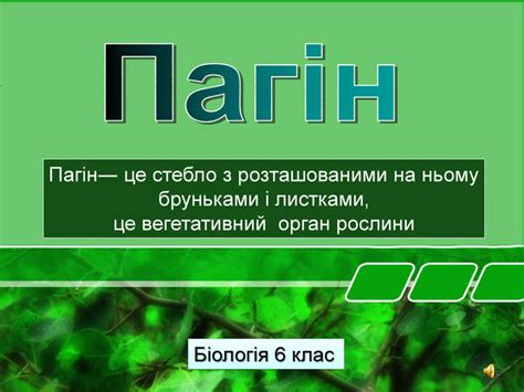 Презентація « Пагін 6 клас