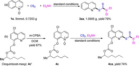 Gram Scale Experiment And Late Stage Functionalization Download