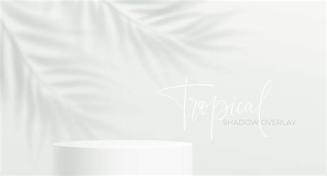 흰색 배경에 야자 수 잎에서 현실적인 제품 연단과 투명 그림자 열대 잎 그림자 제품 연단 모형 벡터 일러스트레이션 그림자에 대한