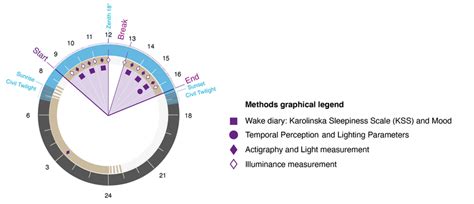 methods and timing of the experiment download scientific diagram