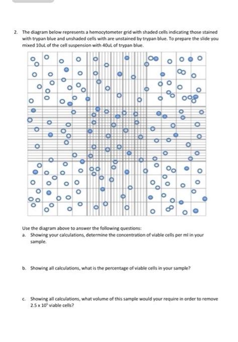 Solved 1 Below Is A Section Of A Hemocytometer Grid Loaded