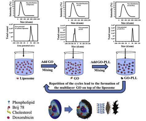 Schematic Representation Of Lbl Lipo Graph Preparation By Assembly Of Download Scientific