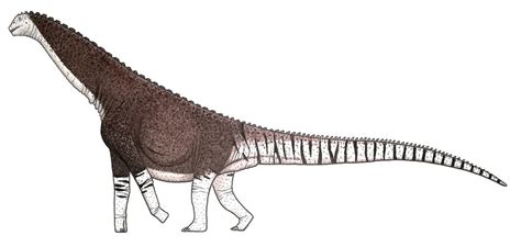 Isisaurus By Zegh8578 On Deviantart