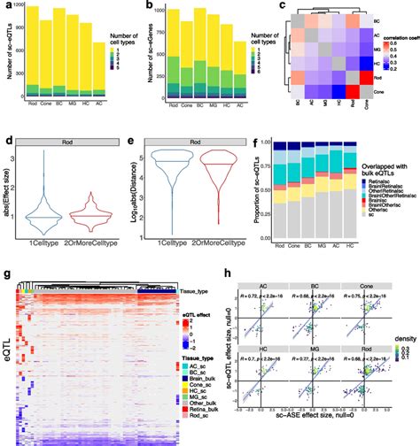 Identification Of Sc Eqtls In Retinal Cell Types A Bar Plot Showing