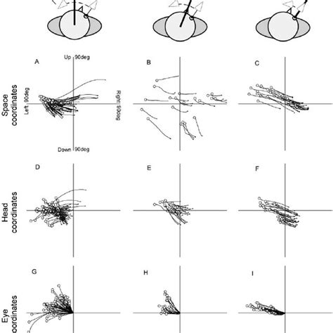 Gaze Convergence In Different Frames Across Sites A C Trajectories Download Scientific