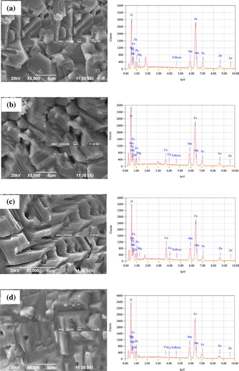 Typical Scanning Electron Microscopic Sem Images And Edax Spectra Of