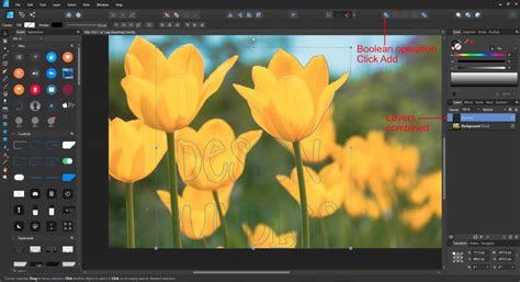 Clipping Mask In Affinity Photos Text Design Bundles