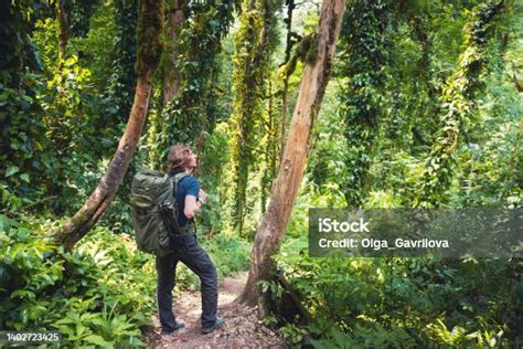 Wisatawan Pria Muda Dengan Ransel Hiking Di Hutan Tropis Foto Stok