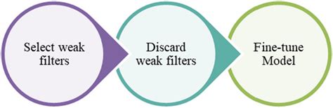 The Workflow Of The Filter Pruning Based On Entropy Download