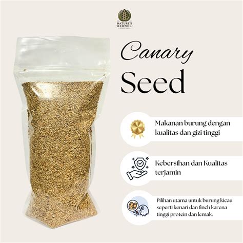 Jual Nature S Kernel Biji Kenari Canary Seed 1kg Shopee Indonesia