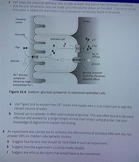 Solved Exercise 103 Cholera This Exercise Looks At The