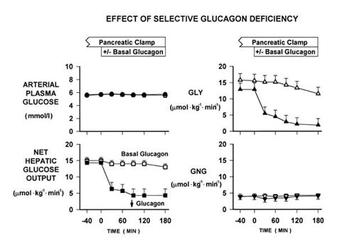 The Effect Of Selective Glucagon Deficiency On Nhgo In Overnight Fasted Download Scientific