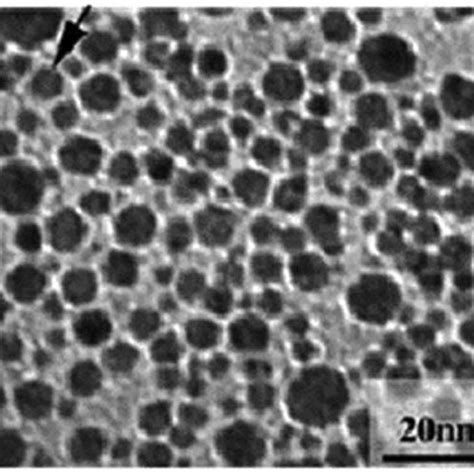Sem Image Of Fracture Of Small Sized Ag Paste Sintered Joint