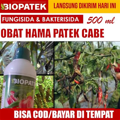 PROMO MURAH 500 Ml Obat Hama Patek Cabe BIOPATEK Pupuk Hama Cabe Patek
