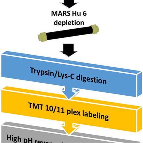 Plasma Proteomics Workflow For Set 1 N 73 And Set 2 N 40