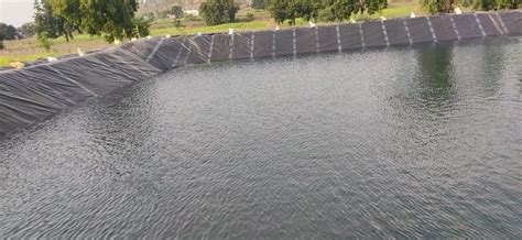 Ldpe Plastic Hdpe Geomembrane Sheet For Agriculture At ₹ 117square