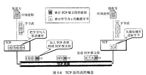 Tcp协议 · 进击的java菜鸟