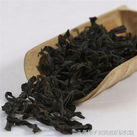 聽過大紅袍的傳說，岩茶四大名樅的鐵羅漢傳說你知道嗎？ 每日頭條