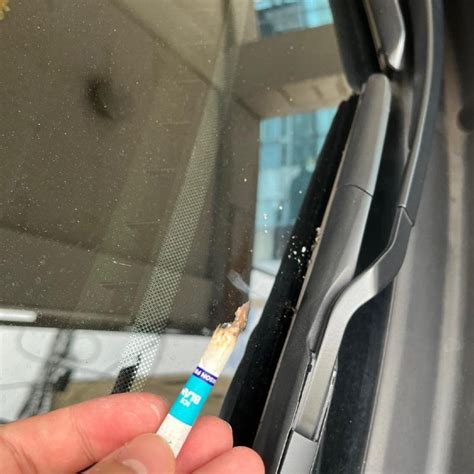 보배드림 이웃이 주차장 쪽으로 담배 버리고 침을 뱉어 차 때문에 스트레스 입니다 담배와 침은