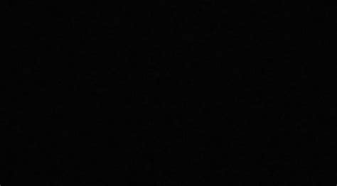 Stegosaurus Sex Party Strip Club Saturday 24th July 2021 St Thomas Cross Rugby We Will Be