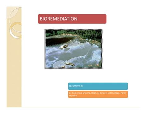 Bioremediation Pptx